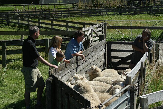 High Country Discovery Tour from Queenstown - The Sum Up