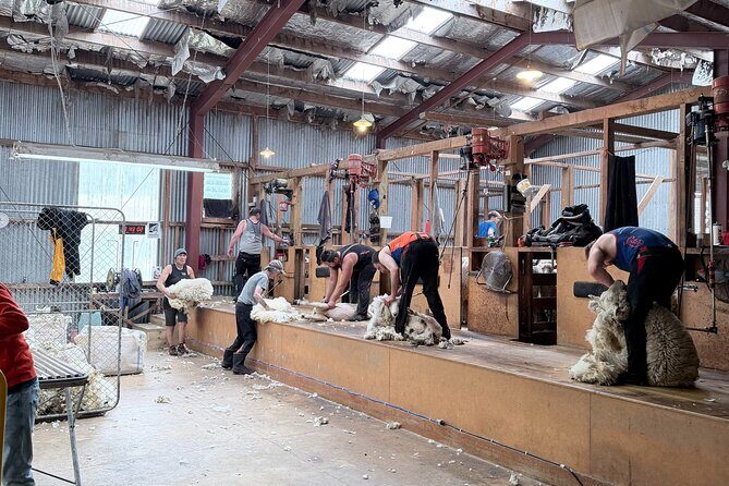 High Country Discovery Tour from Queenstown - FAQ