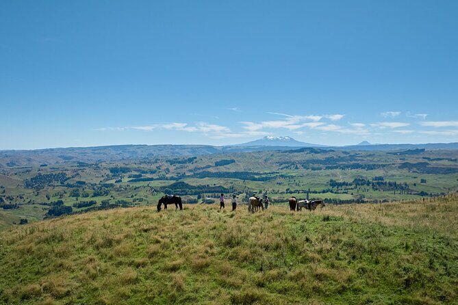 High Country Enchantment Full-Day Horse Trek - An In-Depth Look at the High Country Enchantment Horse Trek