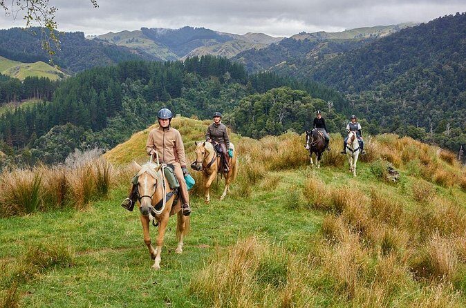 High Country Enchantment Full-Day Horse Trek - Frequently Asked Questions