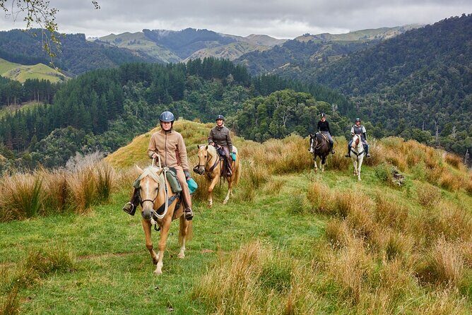 High Country Enchantment Full-Day Horse Trek - Final Words