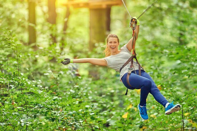 High Ropes and Adventure Tree Top Experience - Key Points
