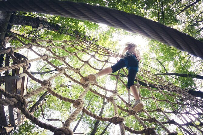 High Ropes and Adventure Tree Top Experience - An In-Depth Look at the Loch Lomond High Ropes Adventure