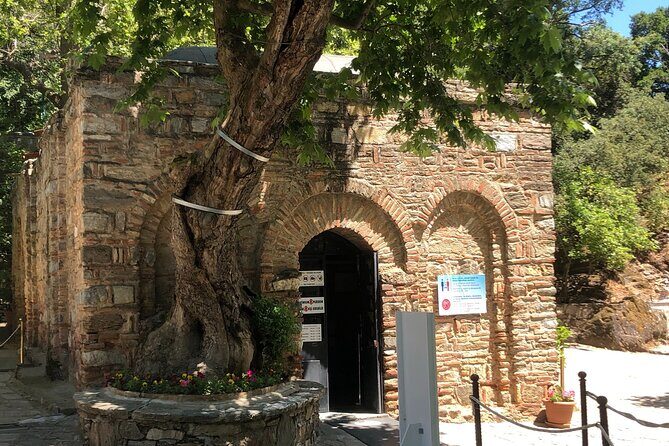 Highlights of Ephesus Tour from Izmir Port / Cruisers only - The Temple of Artemis