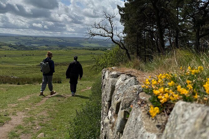 Highlights of Hadrians Wall with Local Guide - Who Is This Tour Best For?