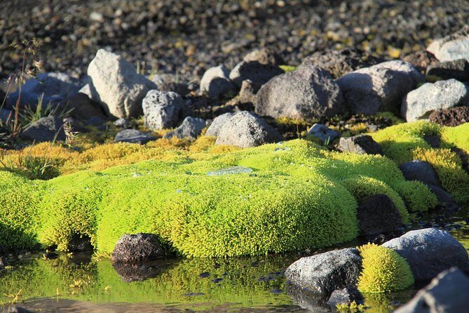 Highlights of Iceland / private guided super Jeep tour - The Sum Up