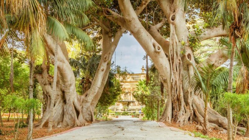 Highlights of Malta Tour:Icons and Experiences of the Island - Who Should Consider This Tour?