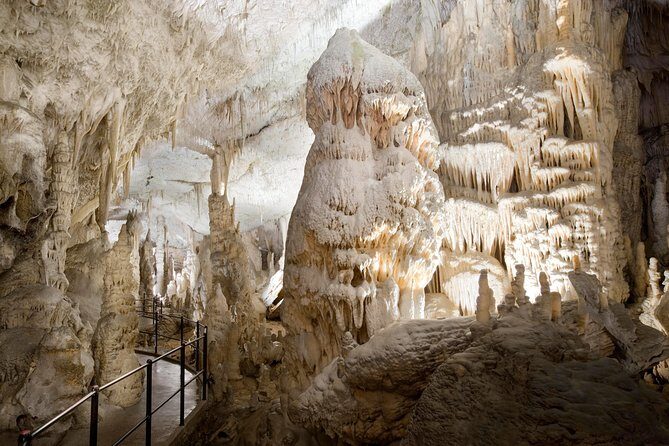 Highlights of Slovenia - Postojna & Bled (Tickets included) - Postojna Cave