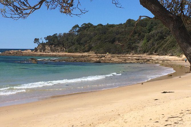 Highlights of the Eurobodalla (half day private tour) - What’s Included & What’s Not