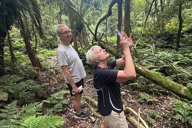 Highlights of the Eurobodalla (half day private tour) - How the Tour Adds Value