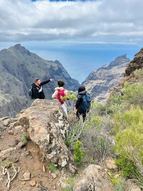 Hike above Masca through relict woods. SMALL GROUPS. - Who this tour is best for