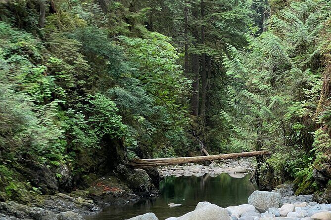 Hike and Bike the Vancouver Forests - Practical Tips for Participants