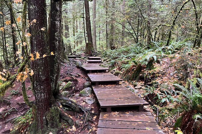 Hike and Bike the Vancouver Forests - The Sum Up: Is This Tour Right for You?