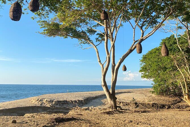 Hike and Yoga Jungle Experience in Mexico - The Return Journey: A Different Scenic Route