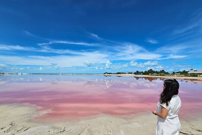 Hike in Las Coloradas and Boat Tour of Río Lagartos - How the Tour Unfolds: A Step-by-Step Breakdown