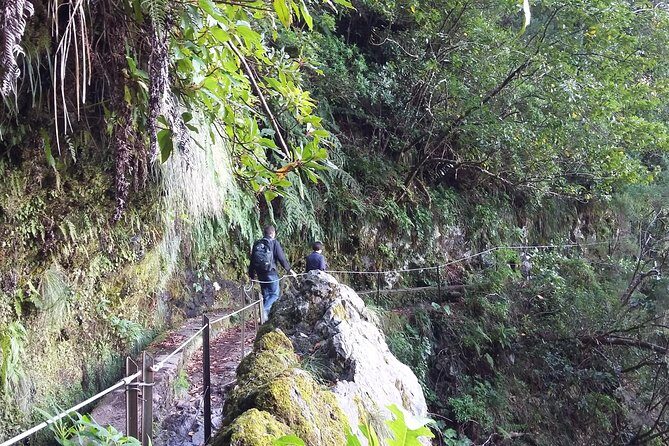 Hike in Laurisilva Levada do Rei - Madre of Life small Group guided walk - FAQs