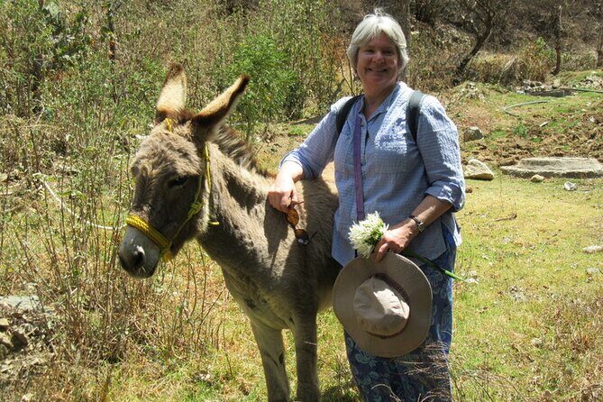 Hike in the Sierra de Santa Rosa - The Sum Up: Who Will Love This Experience?