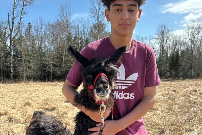 Hike & Lunch with Llamas - Key Points