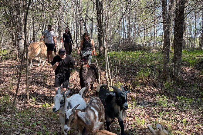 Hike & Lunch with Llamas - Final Thoughts