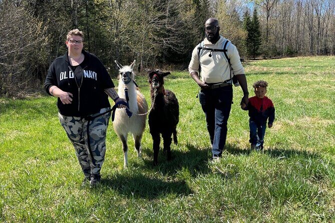 Hike & Lunch with Llamas - FAQ