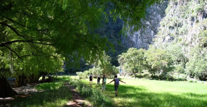 Hike + Swim at Apoala Waterfalls - The Guided Hike: Exploring Santiago Apoala’s Natural Wonders