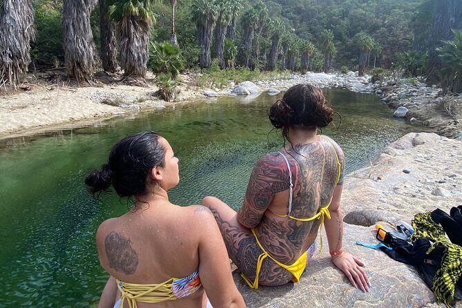 Hike the native Pericu road in Sierra de la Laguna. - What to Expect from the Sierra de la Laguna Hike