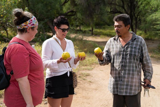 Hike the native Pericu road in Sierra de la Laguna. - Reviews in a Nutshell