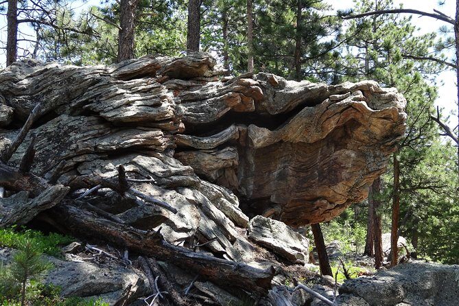 Hike the Rockies Half Day Tour - Who Should Consider This Tour?