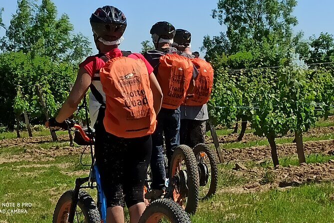 Hike trotting 3h30 - Final Thoughts: Is It Worth It?