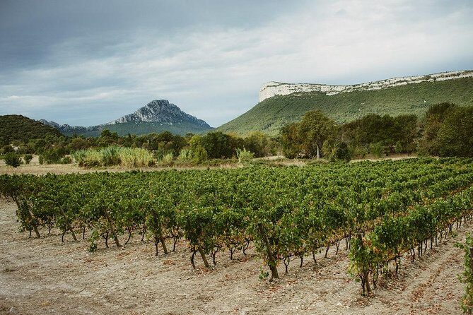 Hike & wine at the top of "Pic Saint Loup" - Key Points