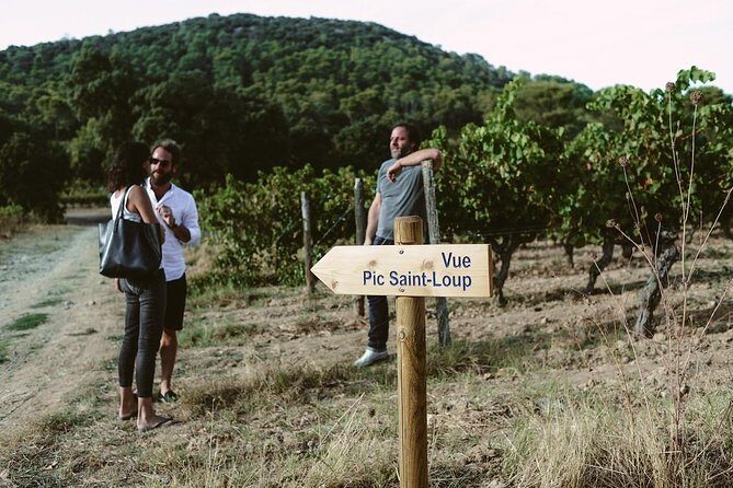 Hike & wine at the top of "Pic Saint Loup" - The wine tasting experience at the summit