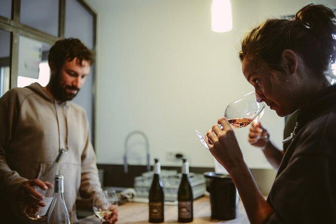 Hike & wine at the top of "Pic Saint Loup" - What travelers love most