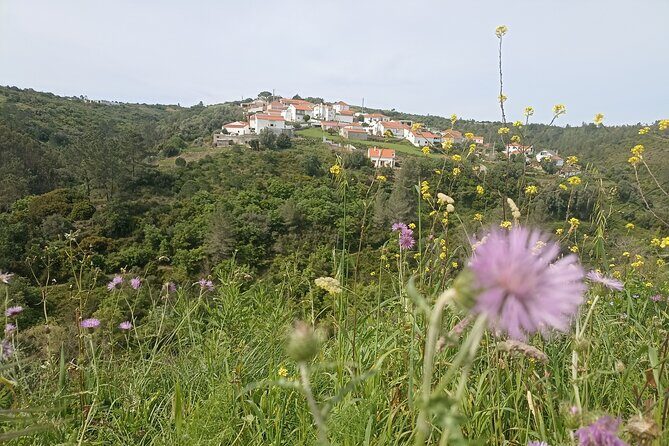 Hike & Wine Ericeira - Key Points