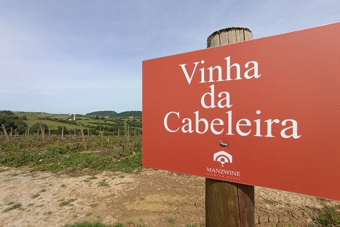 Hike & Wine Ericeira - Who Will Love This Experience?