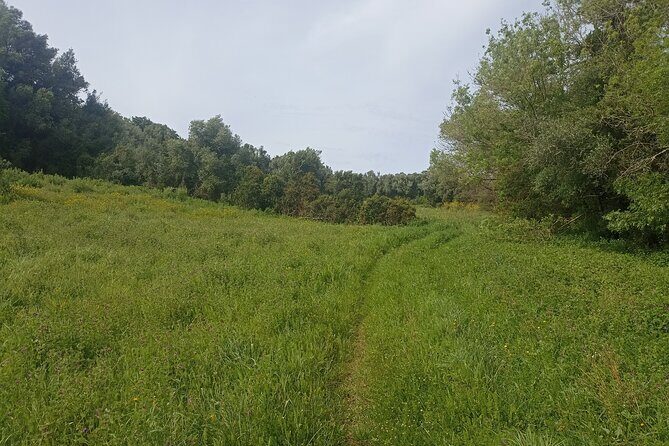 Hike & Wine Ericeira - Final Thoughts
