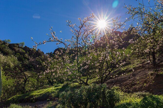 Hikes Roque Nublo - Key Points