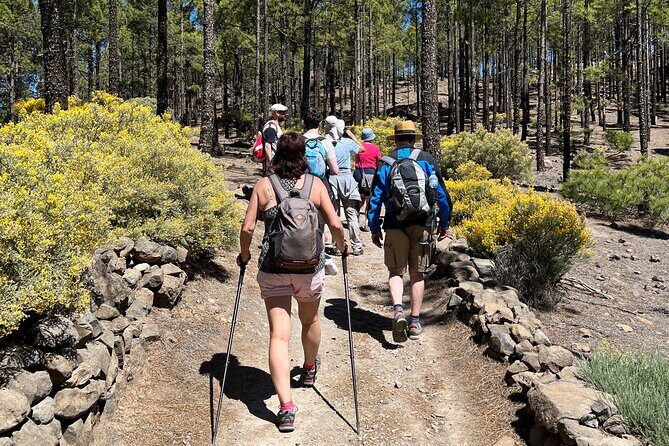 Hikes Roque Nublo - A Closer Look at the Roque Nublo Hike Experience