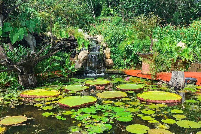 Hiking Adventure in Puerto Vallarta - The Sum Up: Who Should Book This Tour?