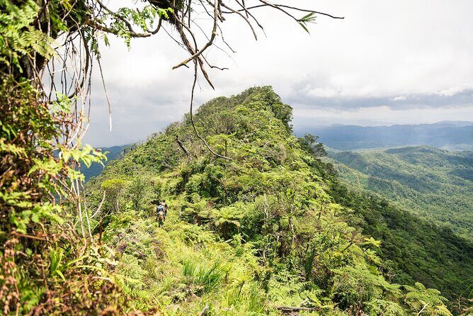 Hiking Adventure including Fiji's Highest Mountain and 3 Nights - Key Points