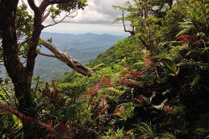 Hiking Adventure including Fiji's Highest Mountain and 3 Nights - Day 1: Into the Interior