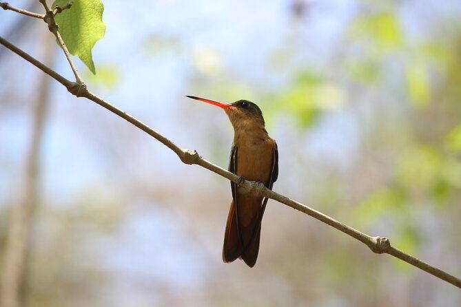 Hiking Adventure: River Trails & Waterfall Wonders - Key Points  