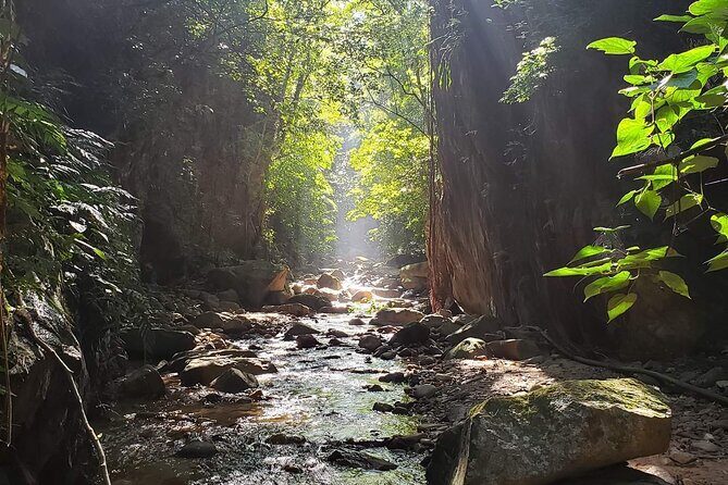 Hiking Adventure: River Trails & Waterfall Wonders - Additional Highlights: Tasting and Food  