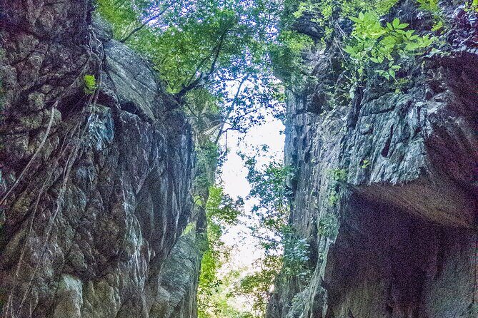 Hiking Adventure: River Trails & Waterfall Wonders - Final Thoughts  