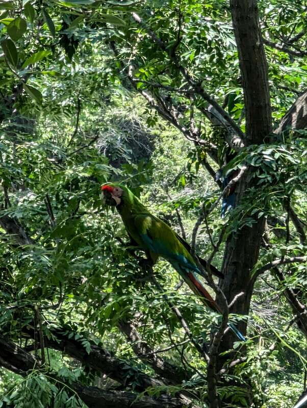 Hiking Adventure to a Secret Swimming Spot - The Trail and Surroundings