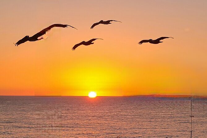 Hiking and Adventure from Napanee to Bon Echo Provincial Park - Authentic Experiences and Reviews