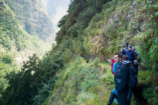 Hiking and Trekking tours in Madeira - The Trail and What You’ll See