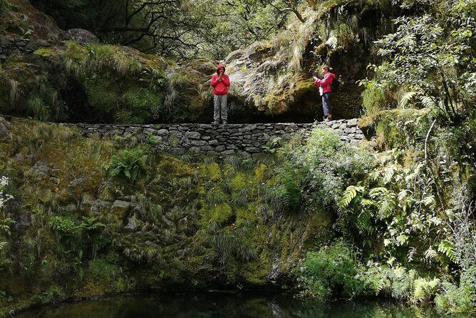 Hiking and Trekking tours in Madeira - The Value of Guided Small-Group Tours