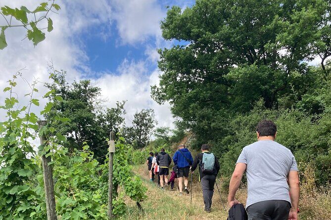 Hiking and Wine between Côte-Rôtie and Condrieu - Hiking and Wine between Côte-Rôtie and Condrieu: An Authentic Rhône Valley Experience