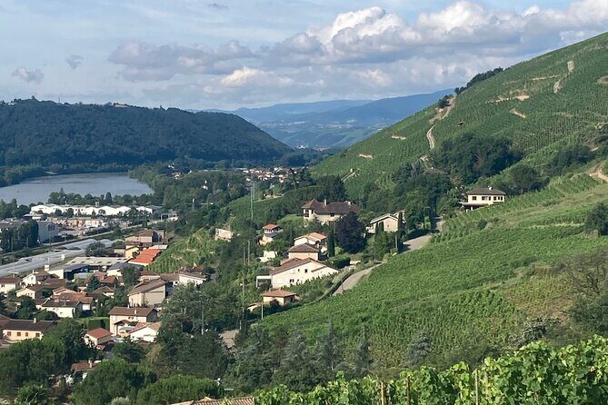 Hiking and Wine between Côte-Rôtie and Condrieu - The Sum Up: Who Should Book?