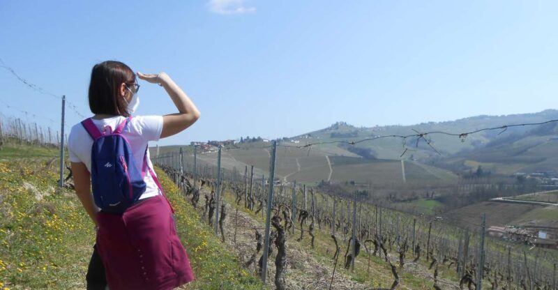 Hiking and wine tour starting from Alba - Practical Details and What to Expect